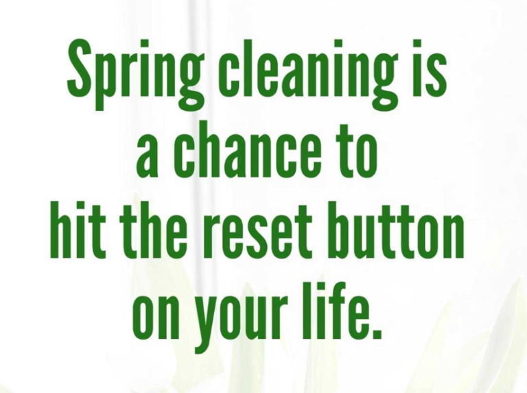 301+ Cleaning Quotes for Business & Slogans for More Sales | MioCommerce